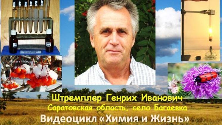 ПАУК АГРИОПА БРЮННИХА