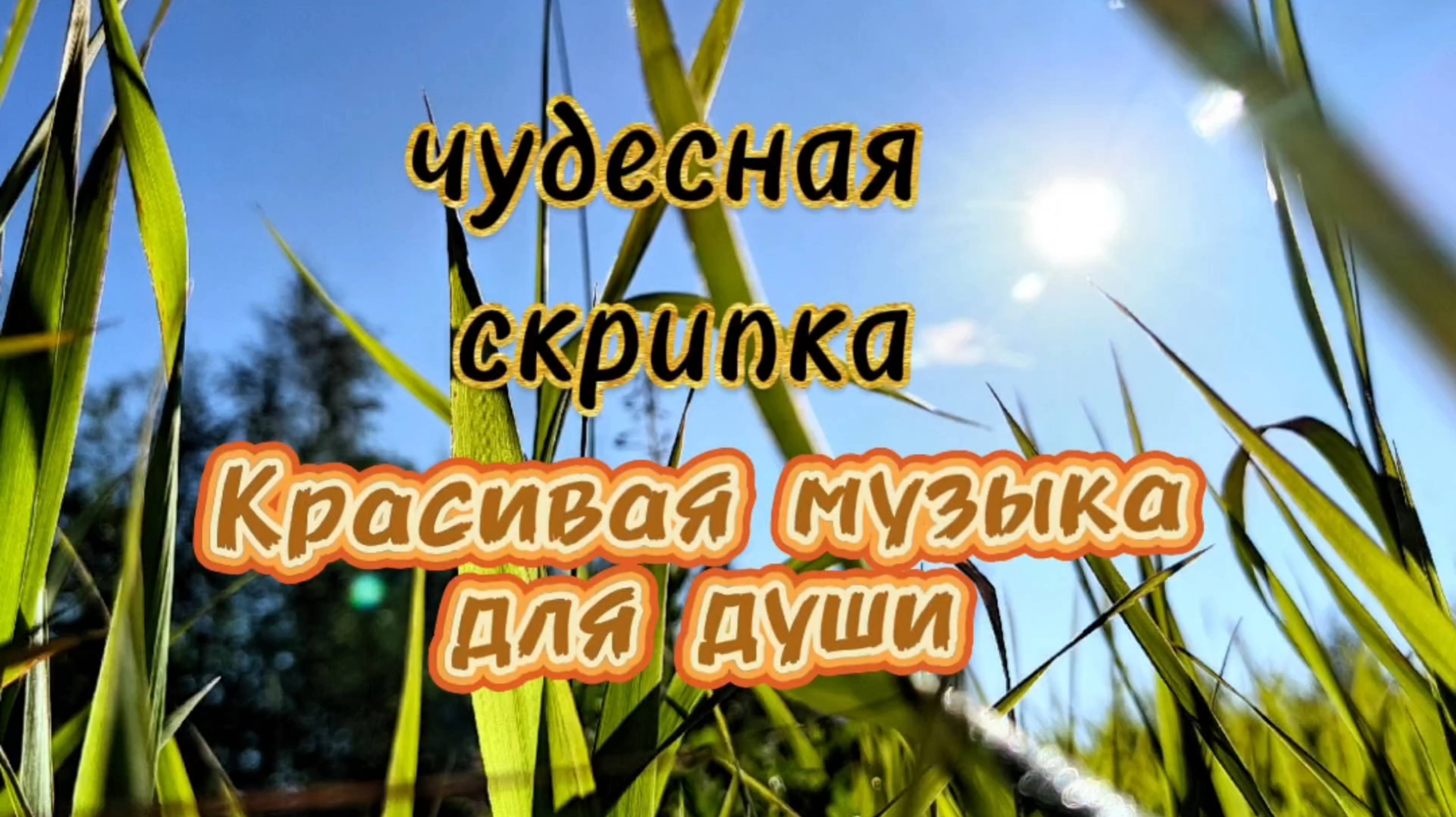 Музыка для души. Чудесная скрипка.