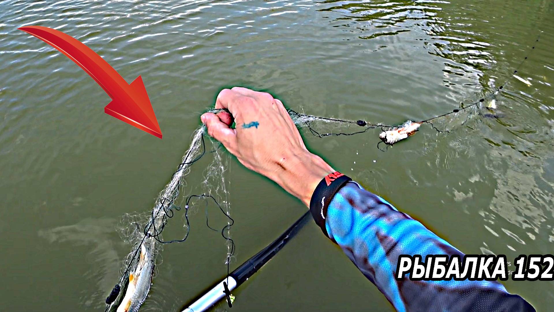 ВЫТАЩИЛИ СЕТЬ НА РЫБАЛКЕ . СМОТРИТЕ ЧТО ТАМ БЫЛО