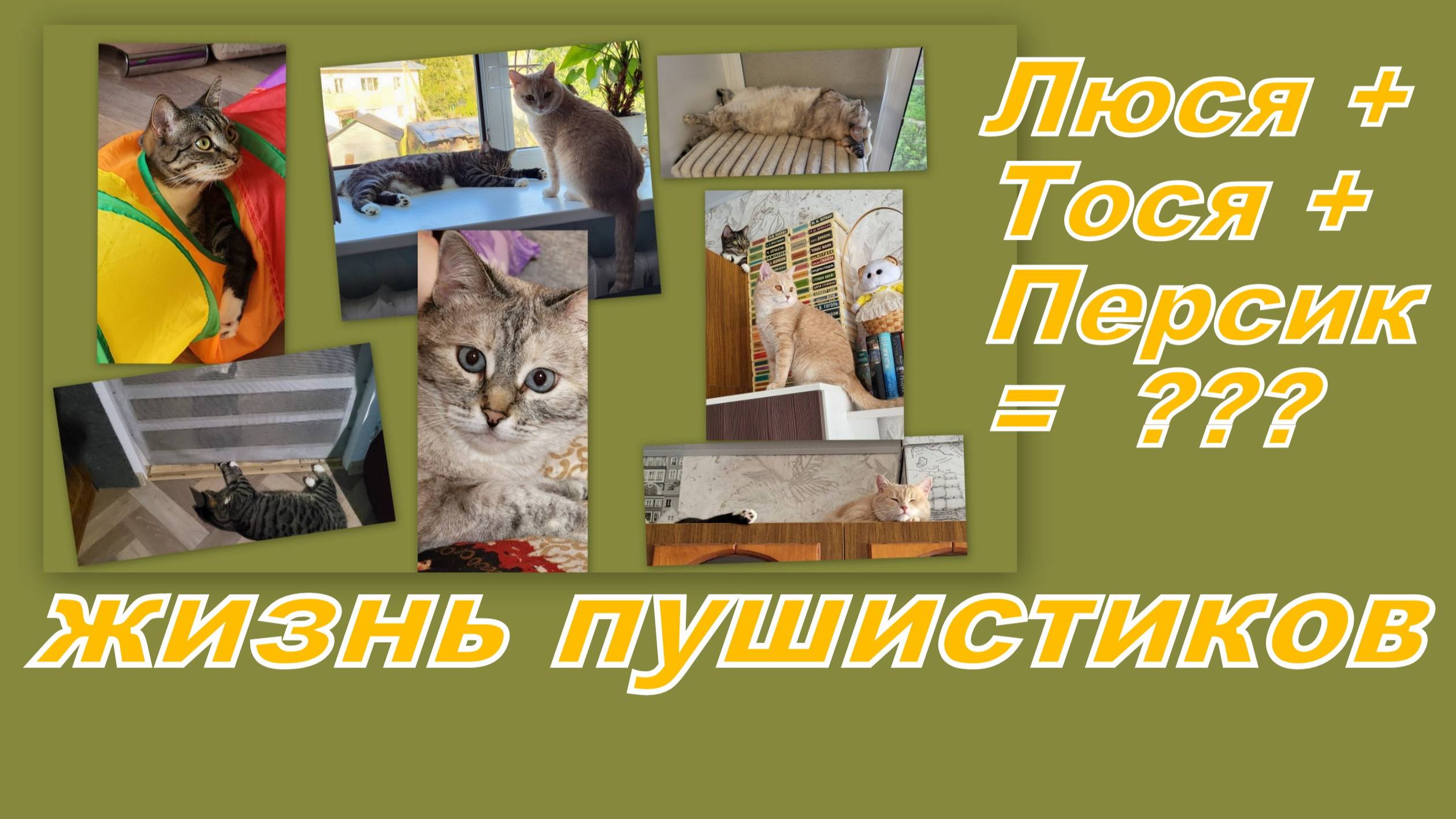 ВЛОГ: ТОЛЬКО ПУШИСТЫЕ  ЛЕТНИЕ ДЕНЬКИ...