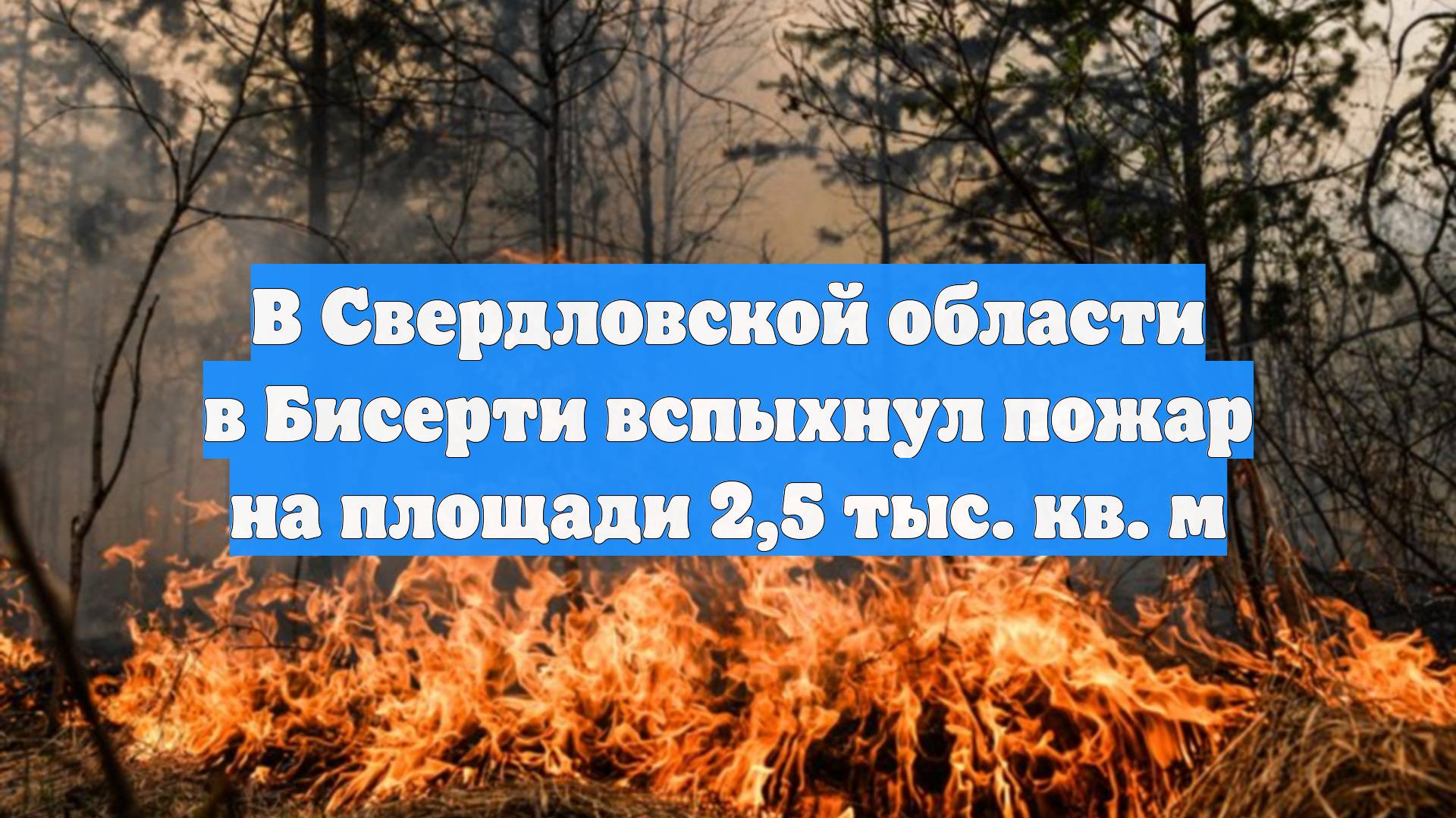 В Свердловской области в Бисерти вспыхнул пожар на площади 2,5 тыс. кв. м