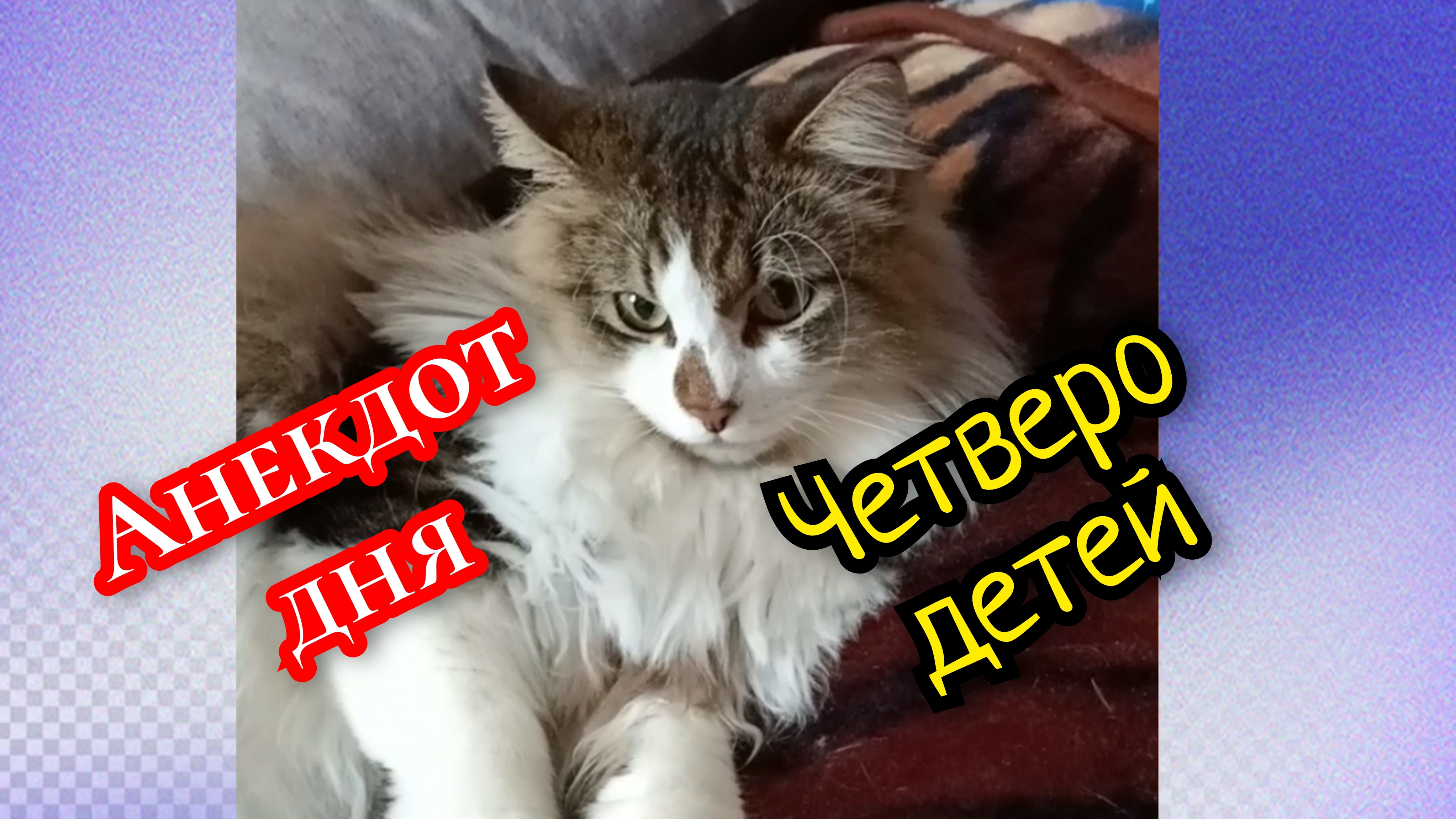 Анекдот дня. Четверо детей