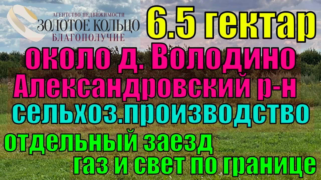 Продаётся участок 6.5 Га под сельхоз.производство около д. Володино, Александровский район