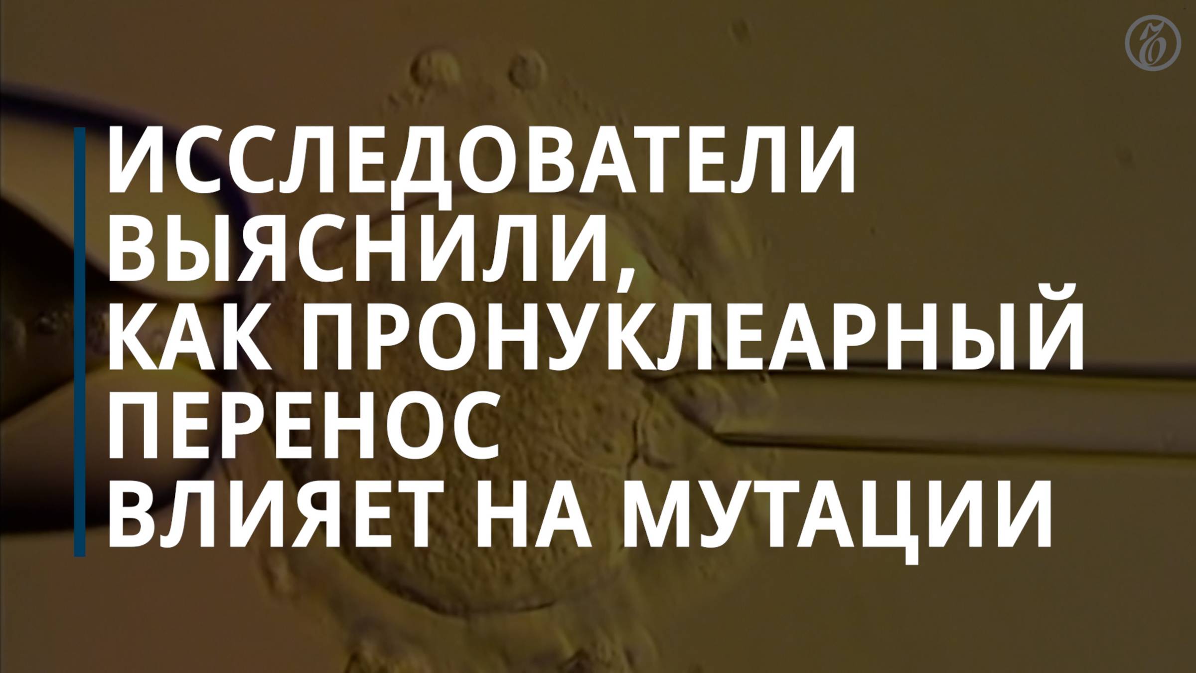Исследователи выяснили, как пронуклеарный перенос влияет на мутации