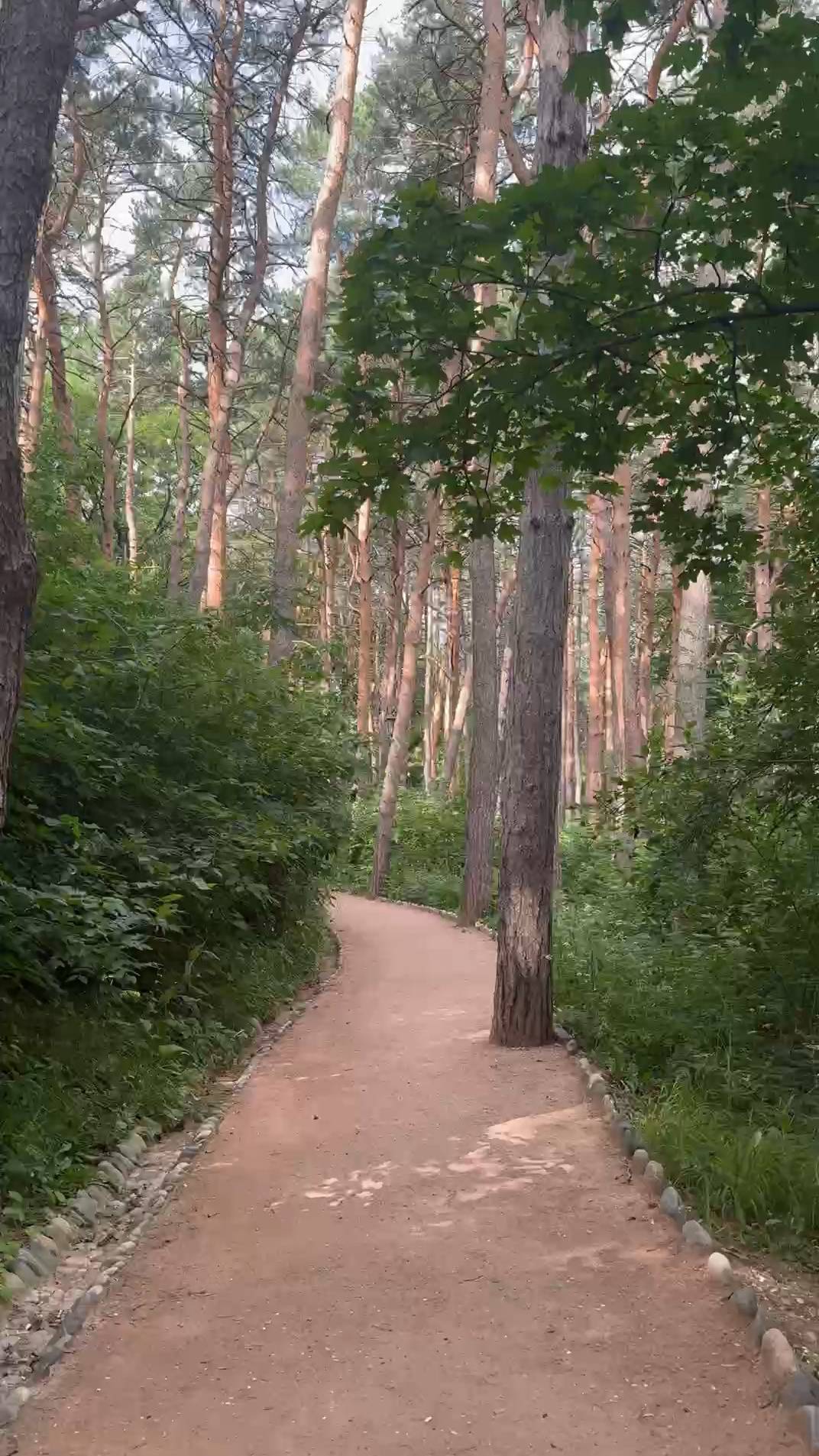 Кисловодский парк - когда природа поёт твою песню