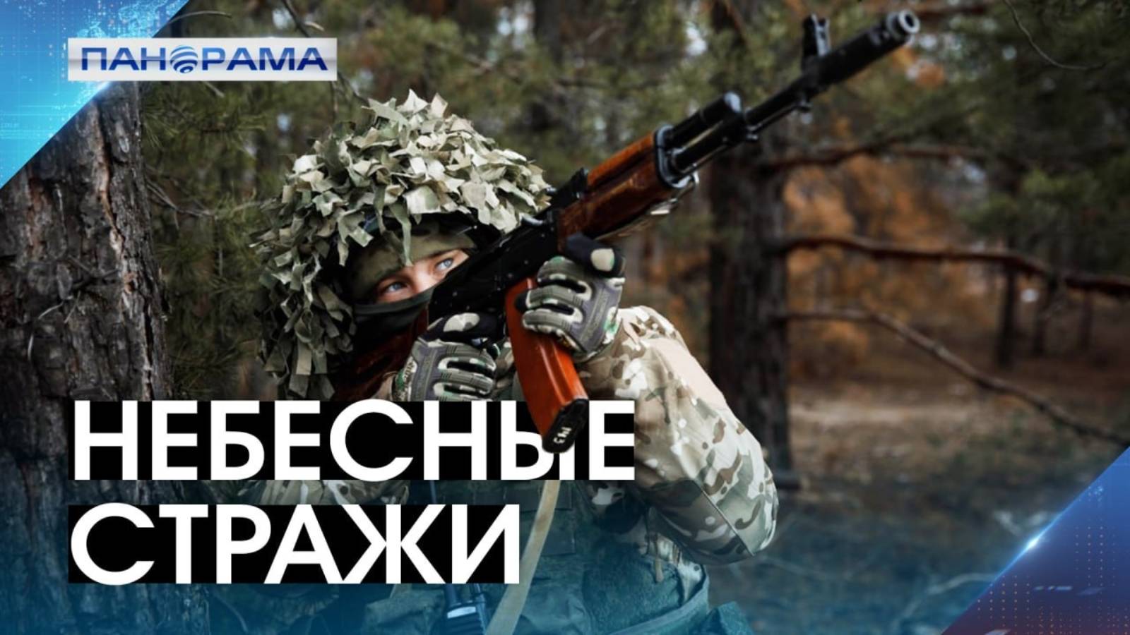 Снайперский щит: штурмовые подразделения под защитой от винтокрылых! 08.08.2025, «Панорама»