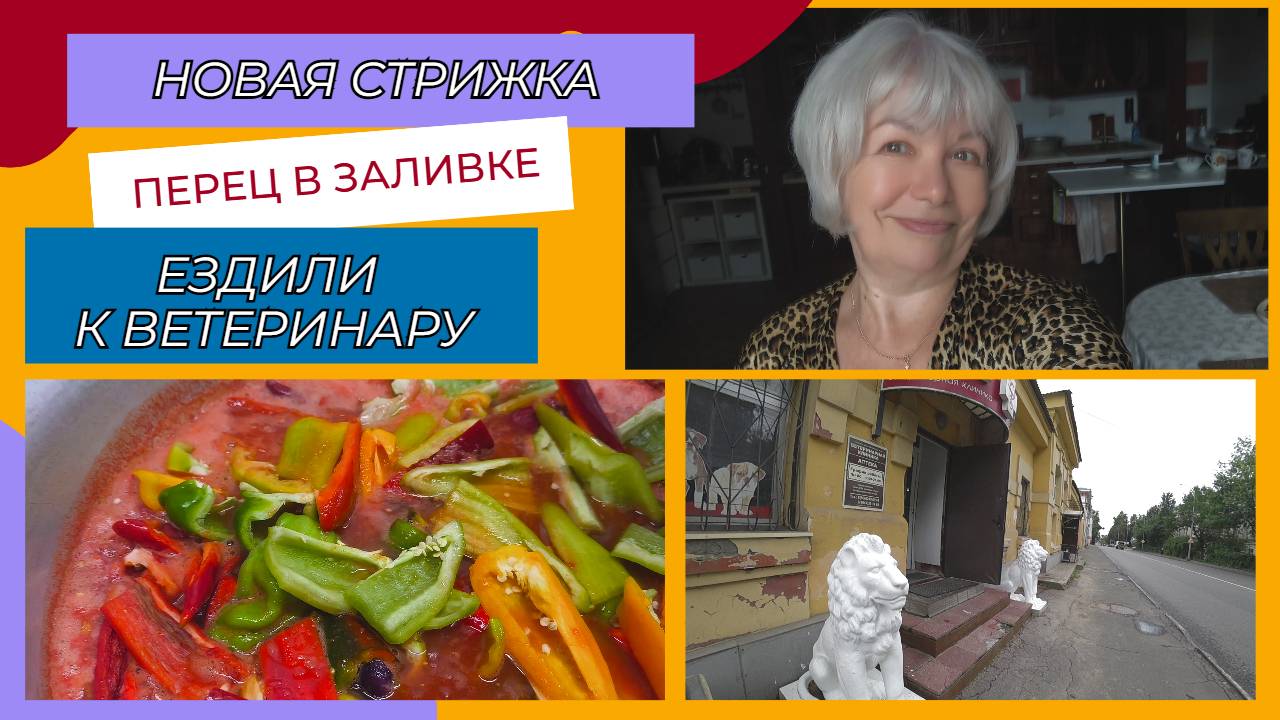 Сделала стрижку/Вот чьи котята/Перец в заливке/Возили кошку к ветеринару @SubTatiana