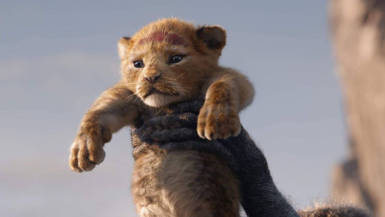 Король Лев (краткий пересказ фильма. МУВИКОТ)