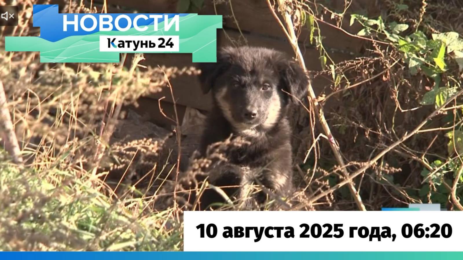 Новости Алтайского края 10 августа 2025 года, выпуск в 6:20