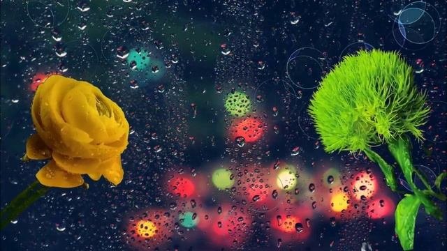 ГР ГРЕЙС ( СЕРГЕЙ РАЙС И ЕВГЕНИЙ ГРИБЕЛЬ ) - АВГУСТ - С ПОСЛЕДНИМ МЕСЯЦЕМ ЛЕТА! 🌺🍁