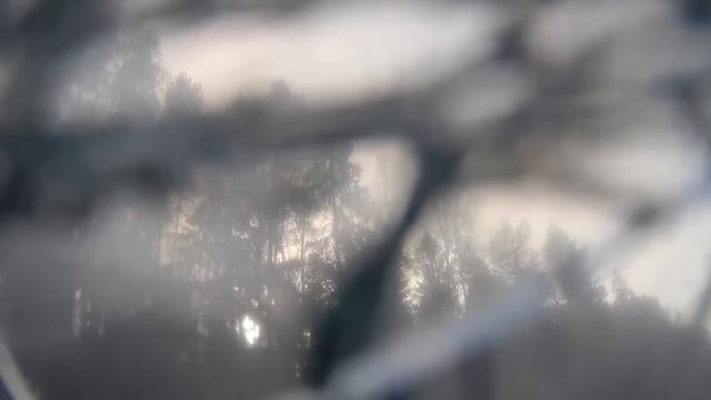 Аварии и ДТП на дороге ВОДЯТЛЫ и ЛЕТУНЫ