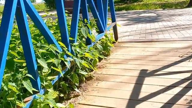 Идем из Нового Иерусалима с субботним акафистом. 7 июня