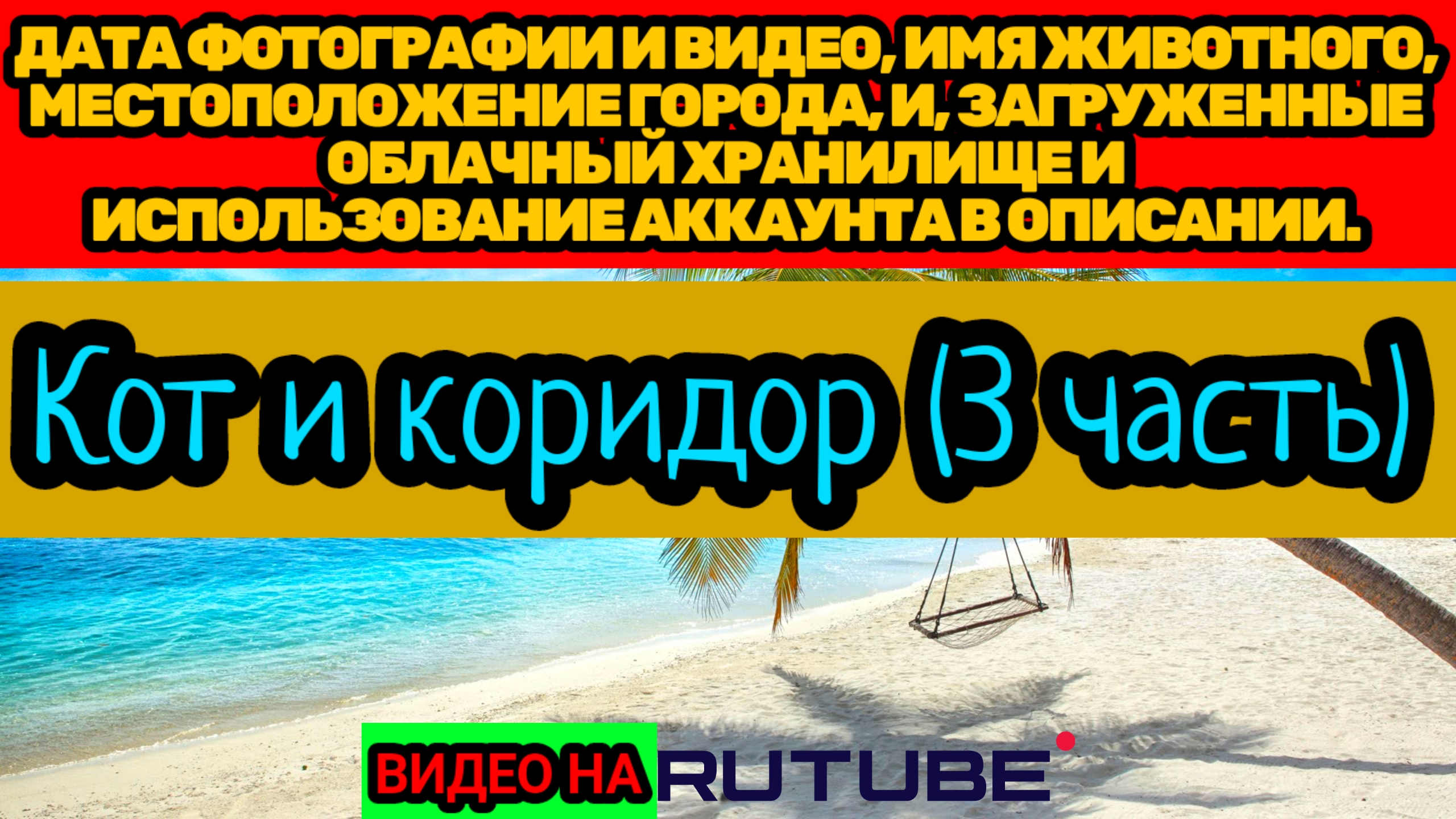 Кот и коридор (3 часть)