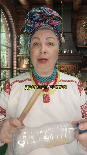 НЕБЫЛИЦА