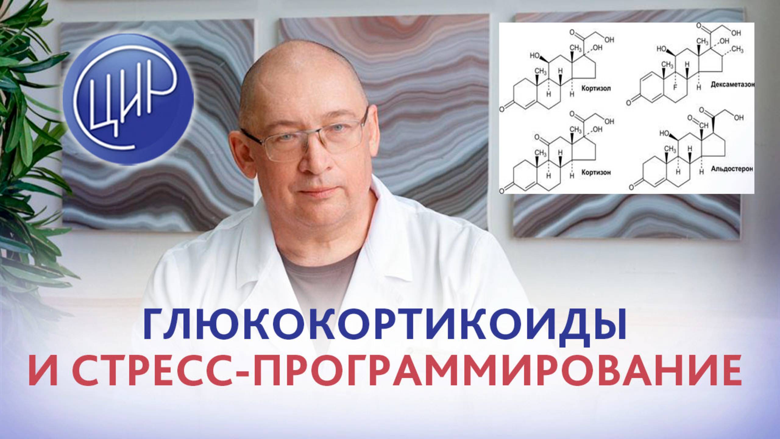 Глюкокортикоиды при беременности и их влияние на здоровье ребёнка в будущем.