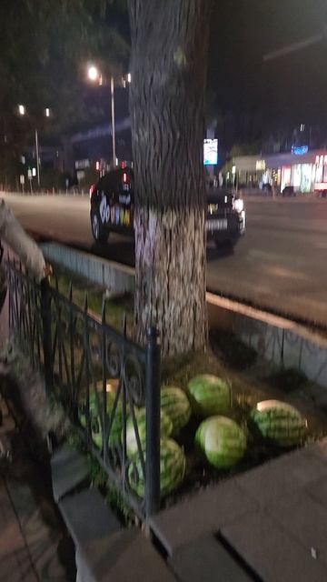 Арбузы в Ташкенте прямо на улице