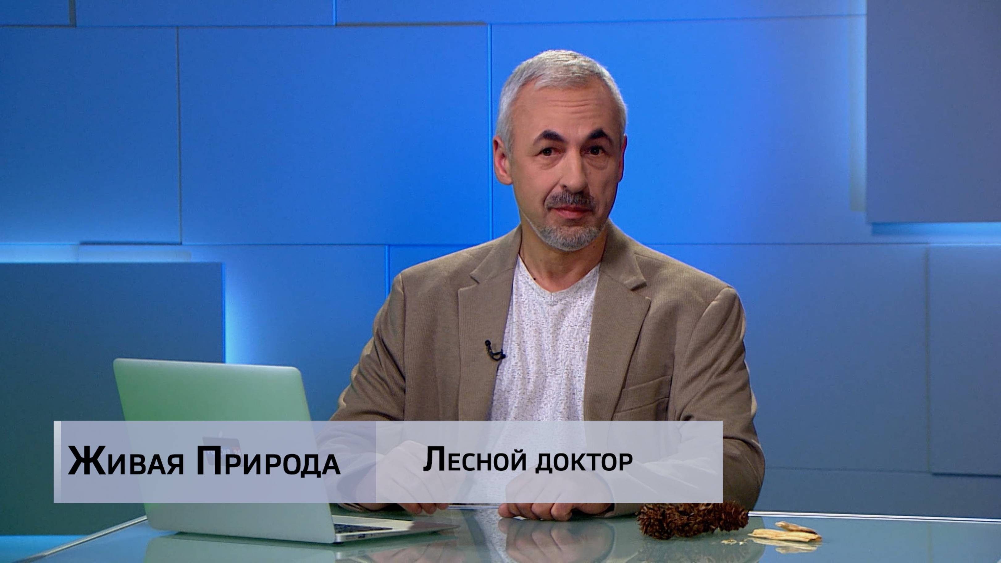 Живая природа. "Лесной доктор"