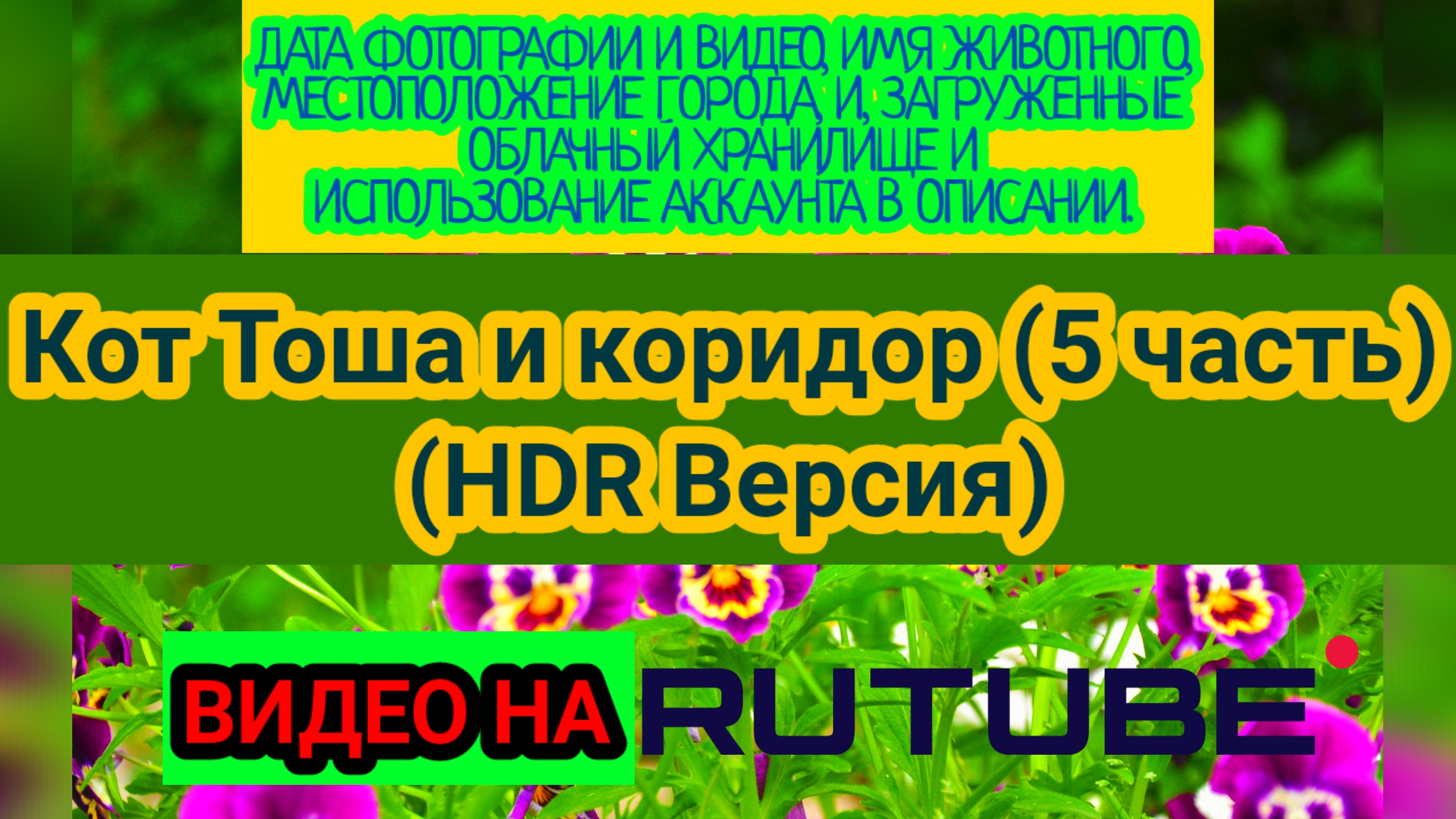 Кот и коридор (5 часть) (HDR Версия)