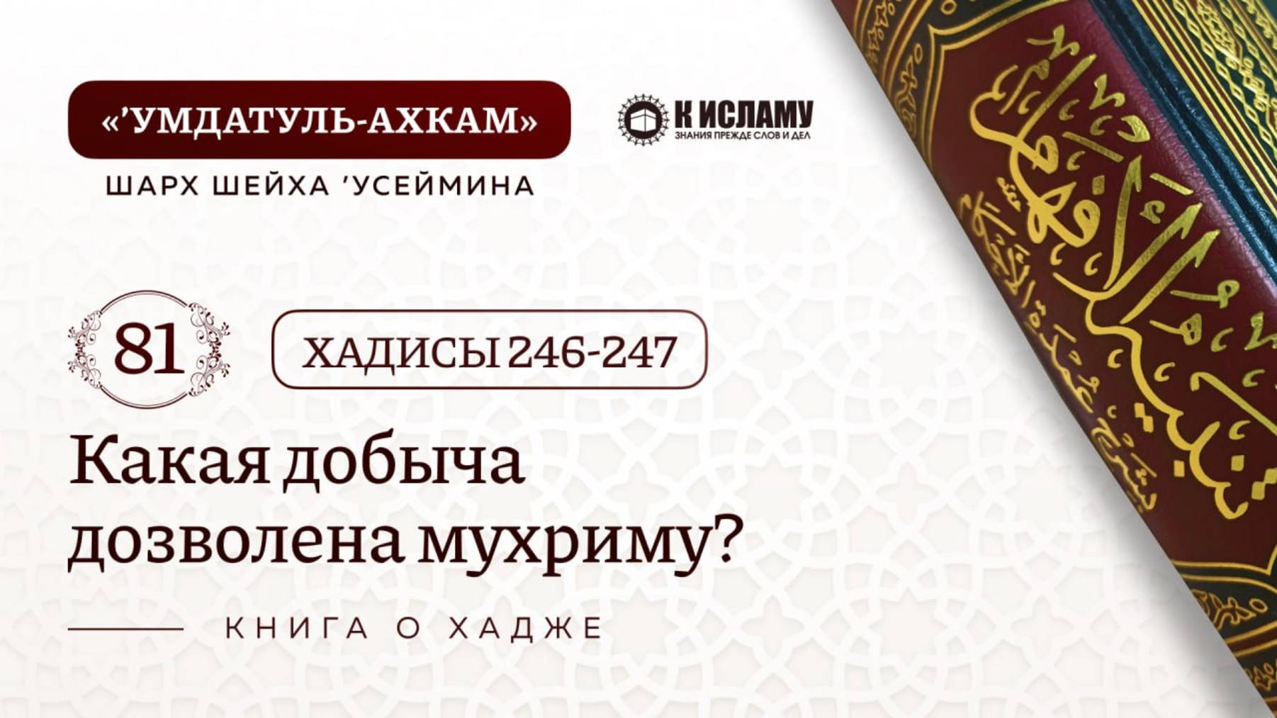 81. 🕋 Какая добыча дозволена мухриму? Хадисы 246—247. Умдатуль-ахкам. Шарх шейха Усеймина