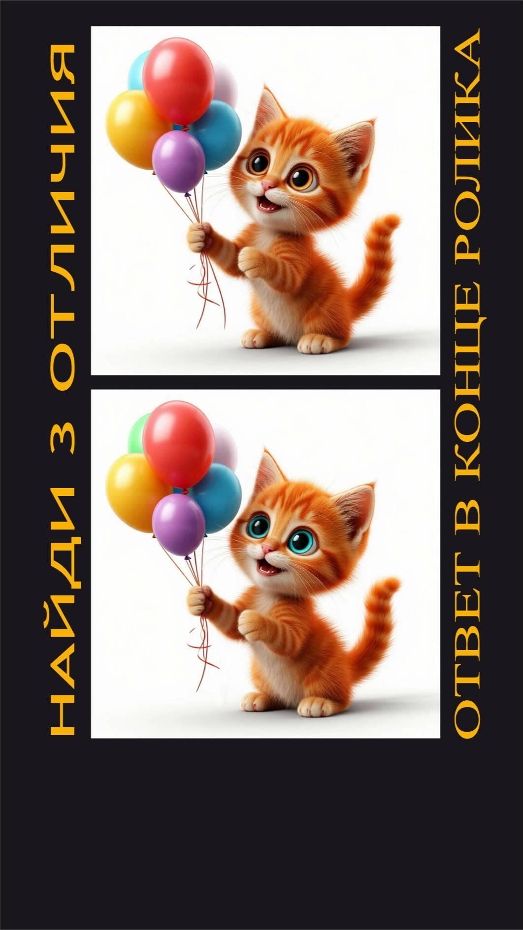 Воздушный кот