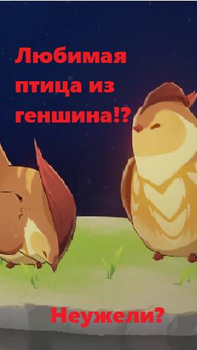 А КАКАЯ У ТЕБЯ ЛЮБИМАЯ ПТИЦА? #Геншин #Gensin Impact #зяблик