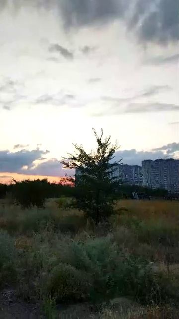 09-08-2025