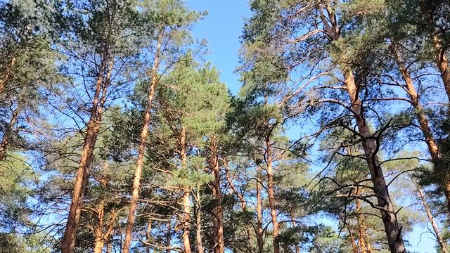 Личный или семейный бюджет. Немного о финансовой грамотности