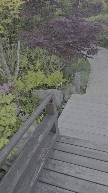 Японский сад