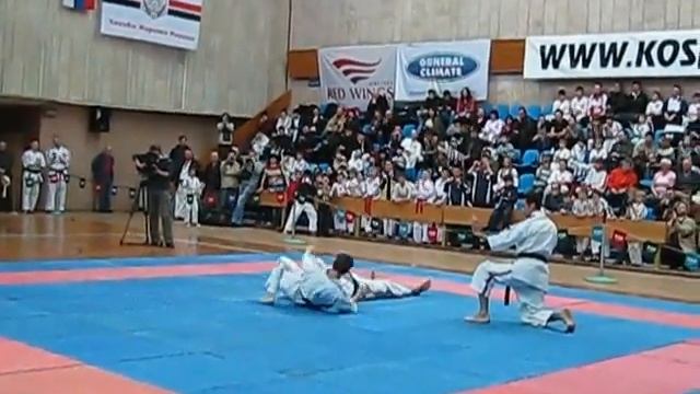 Бункай Лидера нидзюсихо 480