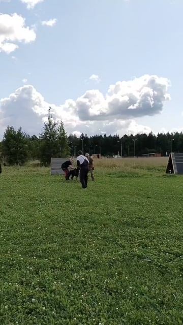 "ДЕРЖИ СВОЕГО КАБАНА!" Первое проф. занятие по ЗКС