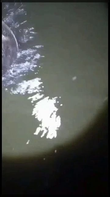 🌃🌙 🎣🐟
