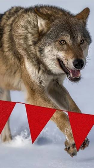 Михаил Пришвин / Календарь природы 157-162 / СОЛНЦЕВОРОТ / Аудиокниги / Творческая Находка