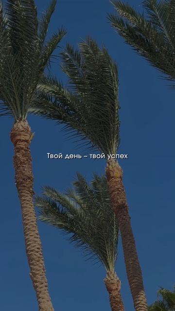 Успех начинается не с кофе И даже не с будильника в 5 утра ⏰