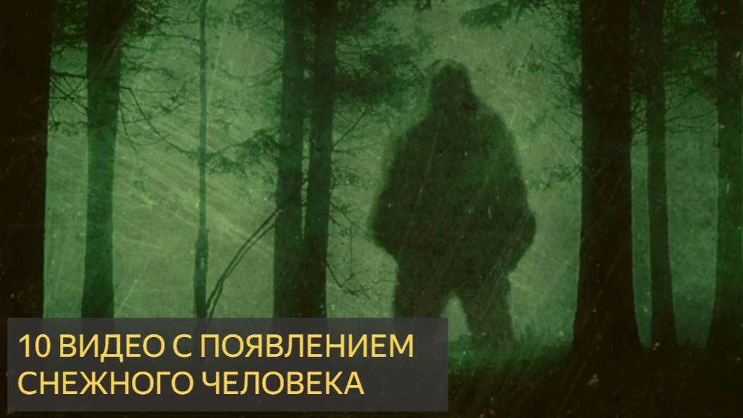 Топ-10 невероятных случаев появления снежного человека, снятых на камеру