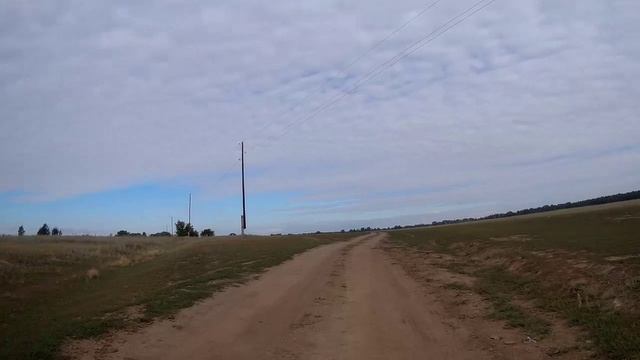 По просторам степи.😊