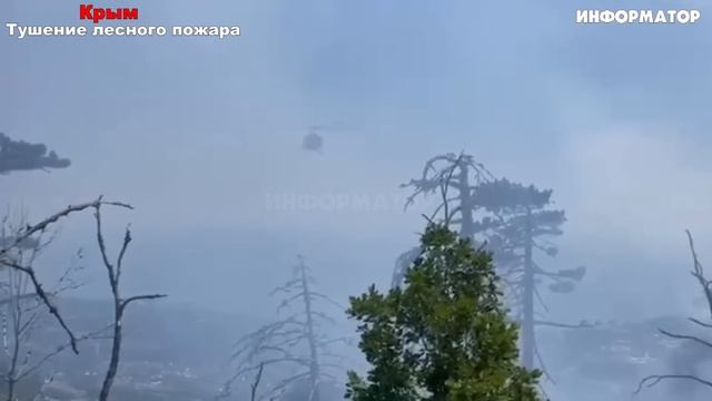 Новости Сегодня 10.08.2025 - Россия, Москва, Экстренный вызов новый выпуск, США Венс