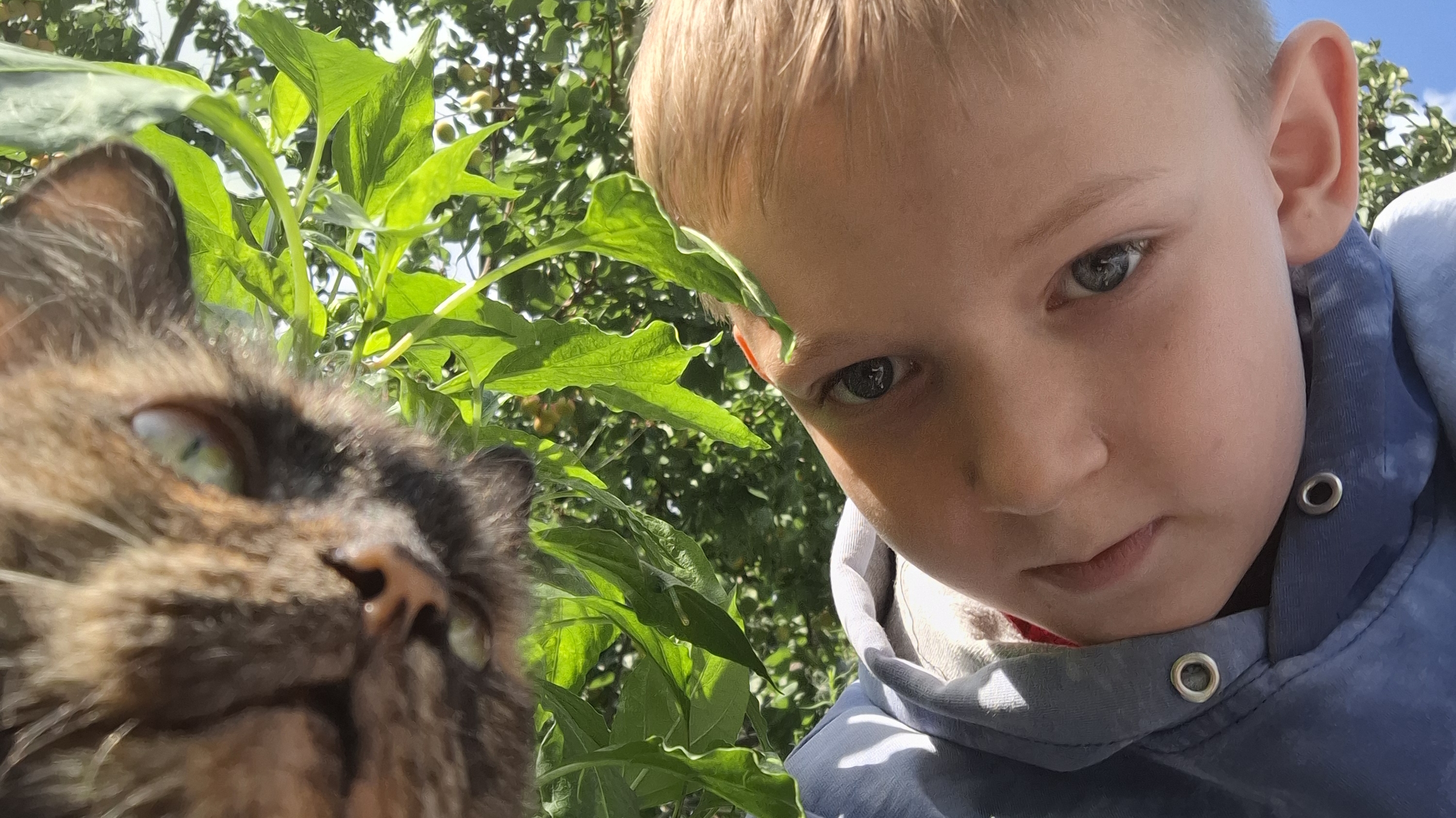 Мурзилка против Макс338 (меня) автор слов песни Пётр Андреев в исполнение Татьяны Куртуковой