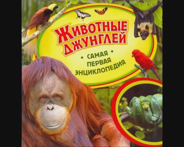 Животные джунглей. Самая первая энциклопедия