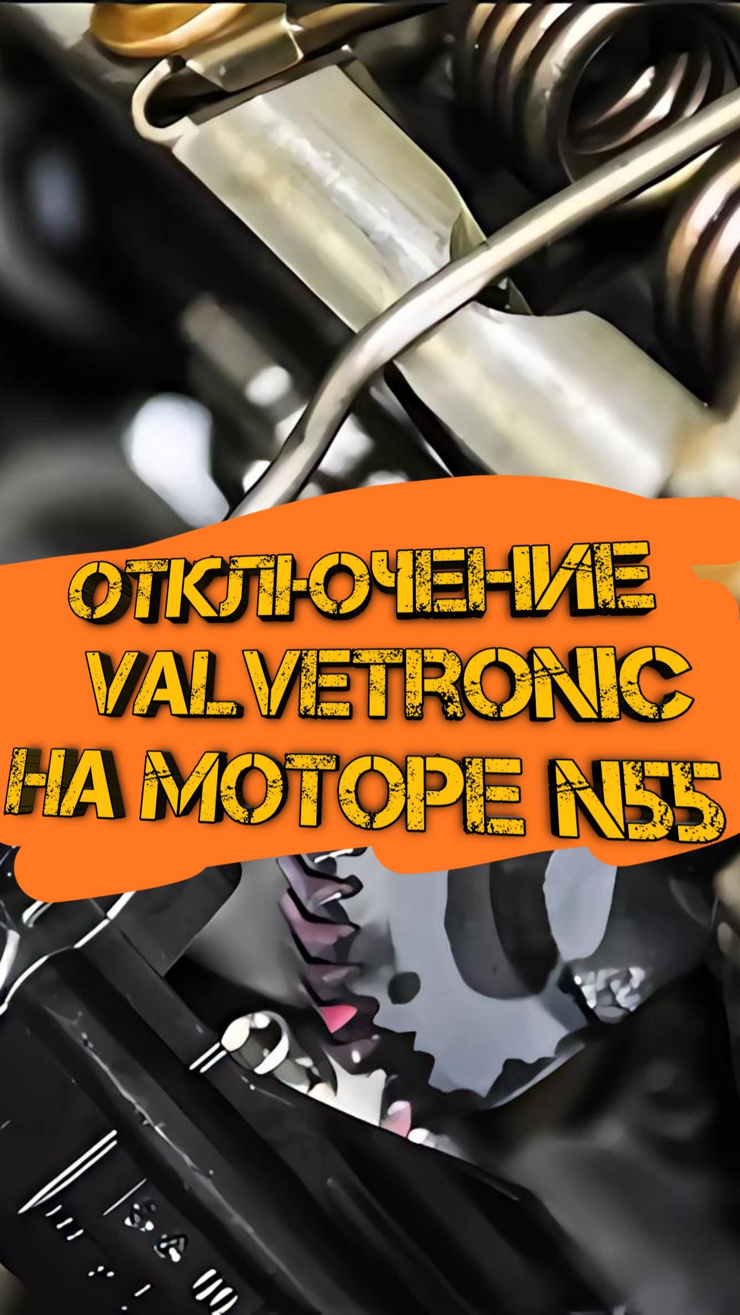 Отключение Valvetronic на моторе N55 BMW E70