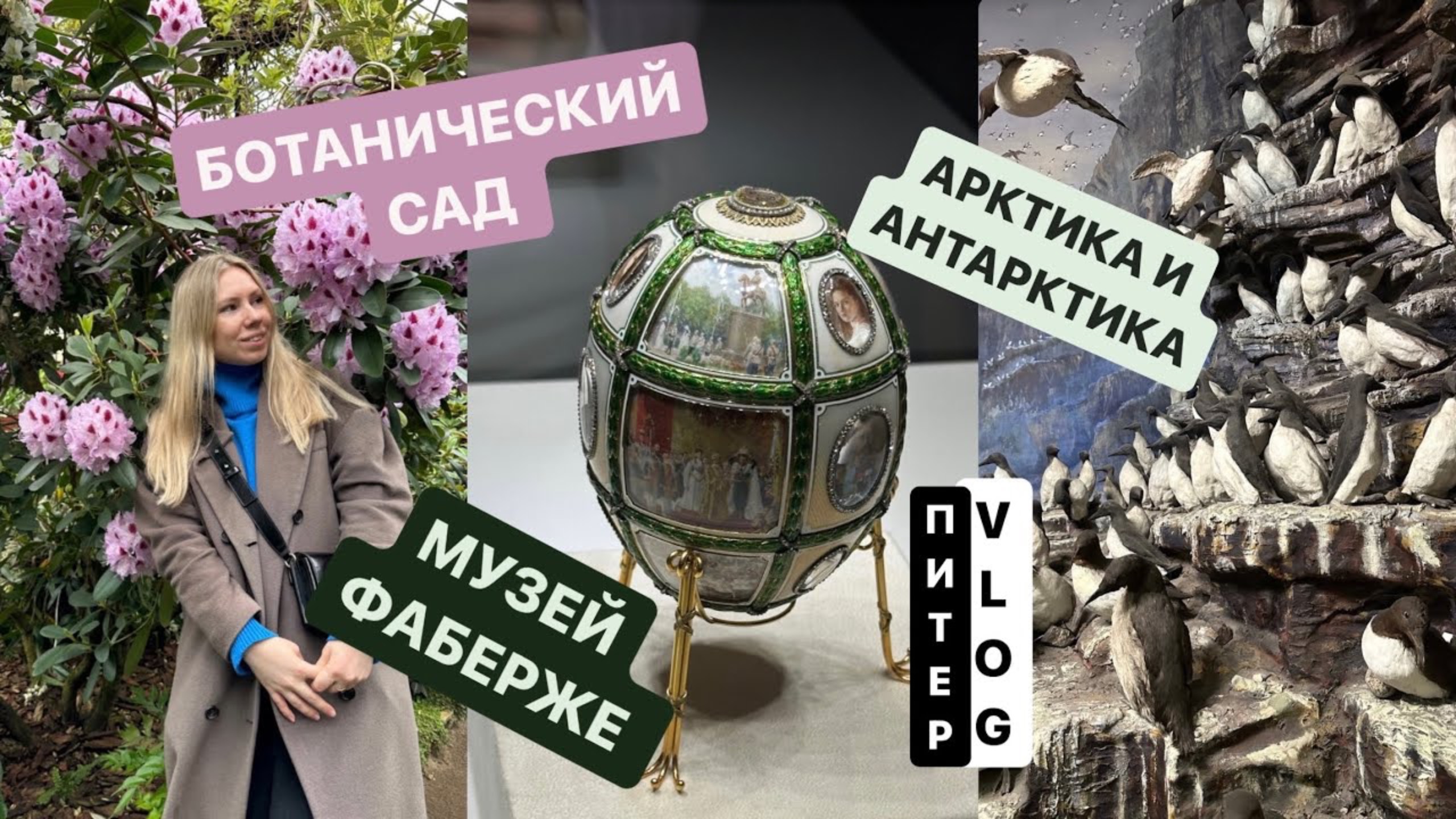 VLOG куда сходить в Питере: Ботанический сад, музей Фаберже, музей Арктики и Антарктики, бар у Ларис