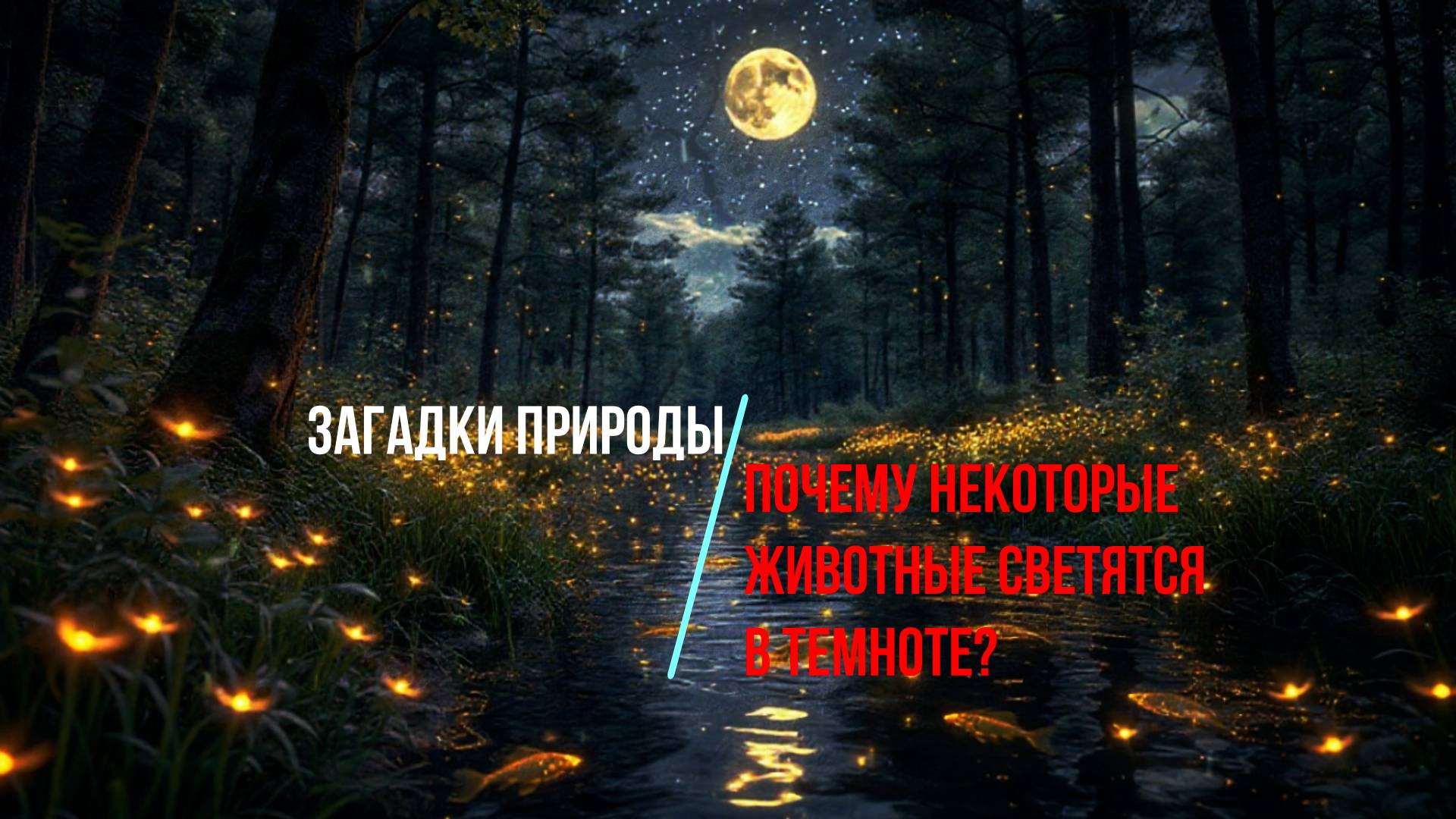 Загадки природы