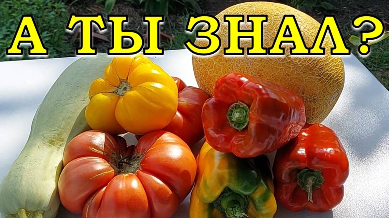 АВГУСТ: самые ВАЖНЫЕ дела в саду и огороде🔥🔥🔥