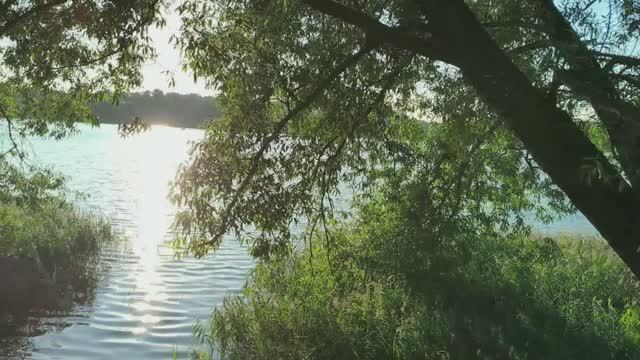 Олeньи выхoдныe часть 9