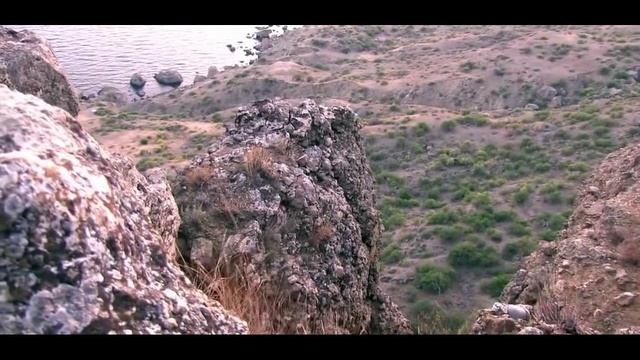 Любимые не умирают Дария Горина, муз. и исп. Самуила Фрумовича