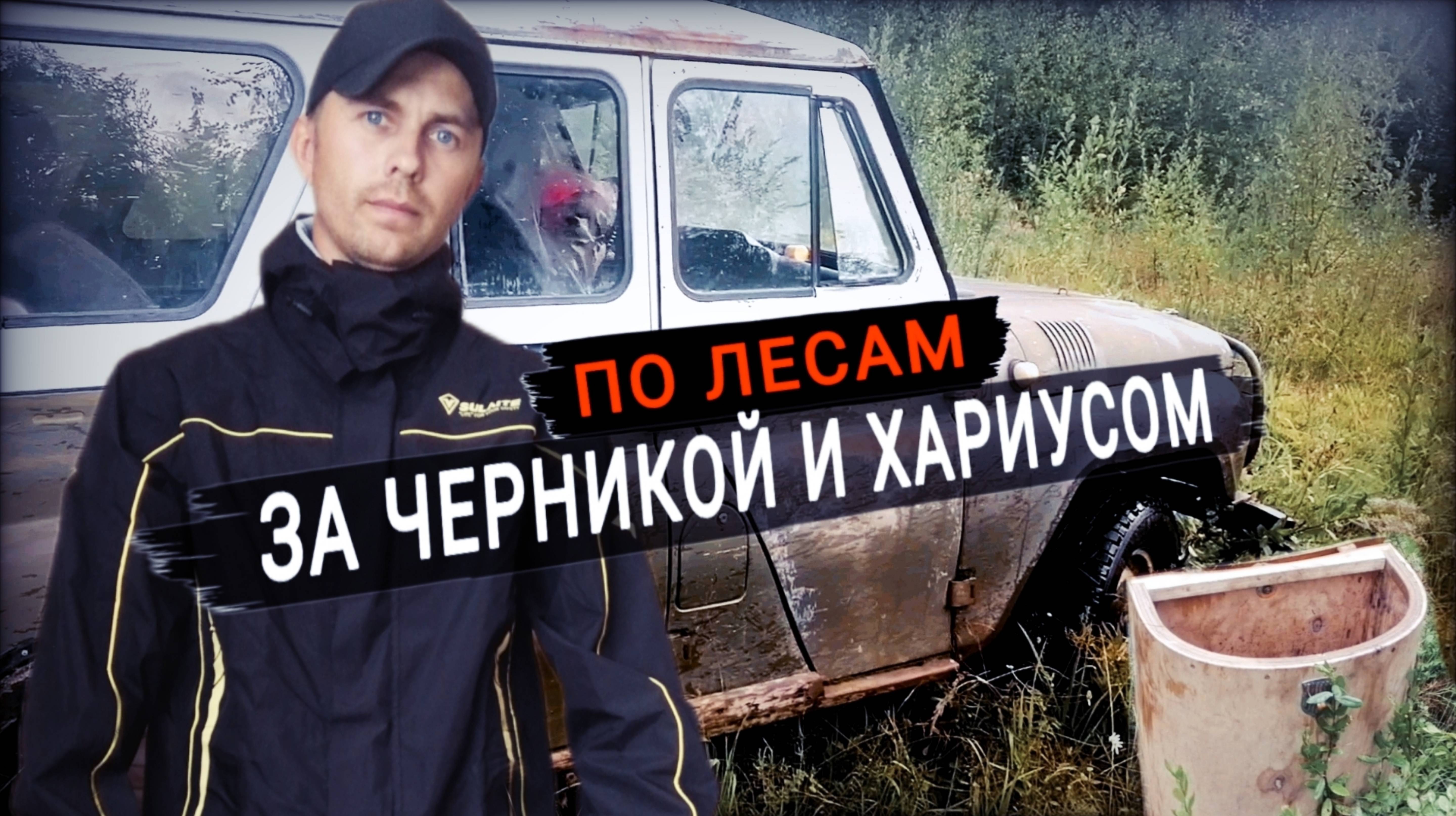 В тайгу за черникой и на рыбалку за хариусом. Тестирую новый дождевик.