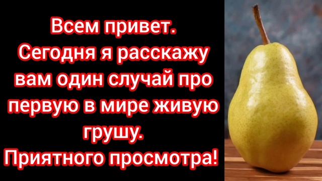 ЭндиКрафт - Случай про первую в море живую грушу. Интересный аудиорассказ.