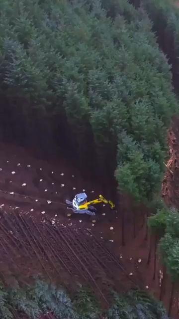 🟢 BI300 Лесные валочные ножницы @OMEFGROUP на экскаваторе-пауке