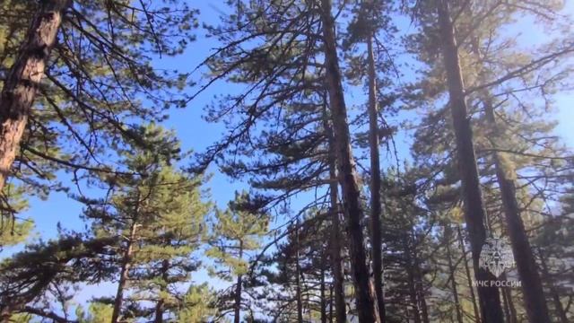 В крымском заповеднике потушили пожар