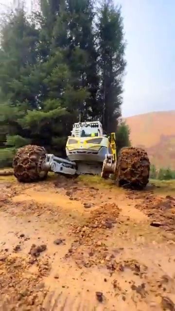 🟢 BI300 Лесные валочные ножницы @OMEFGROUP на экскаваторе-пауке