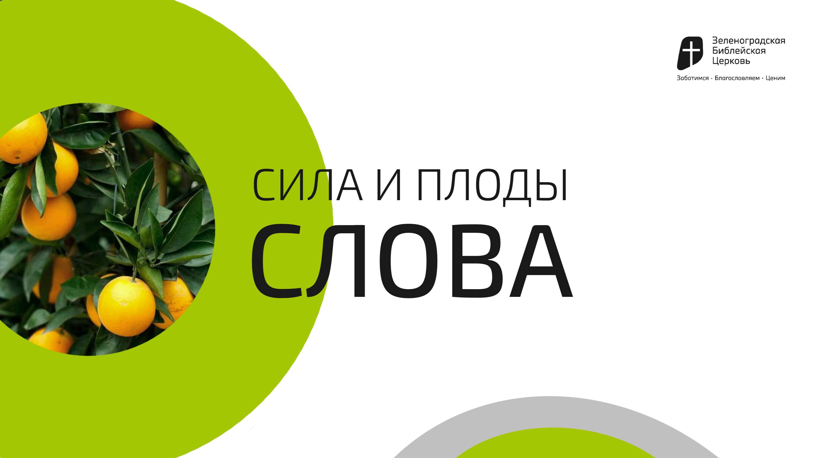 СИЛА И ПЛОДЫ СЛОВА | Павел Колесников